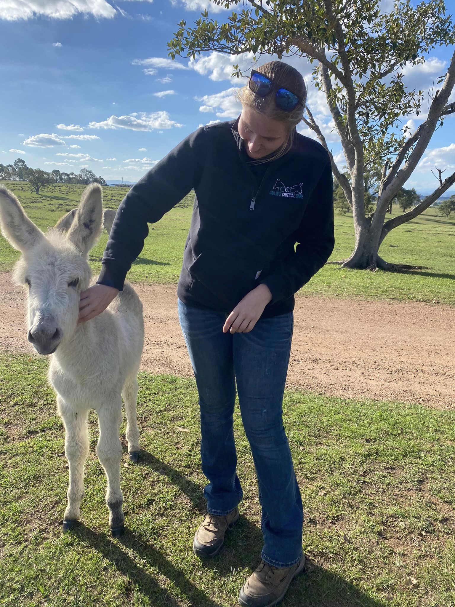 Donkeys – Cailin's Critical Care