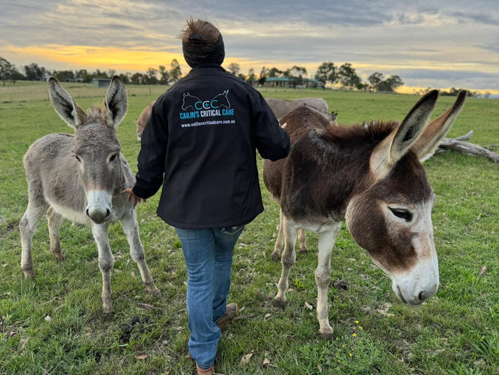 Softshell Jacket – Cailin's Critical Care